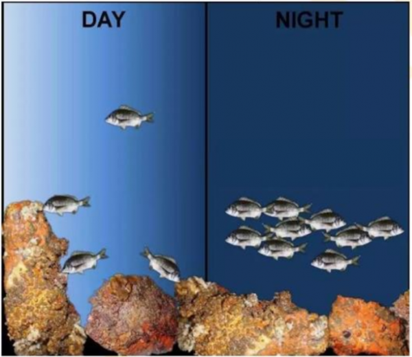 PTE Describe Image: Pictures that don’t contain keywords – Part III ...