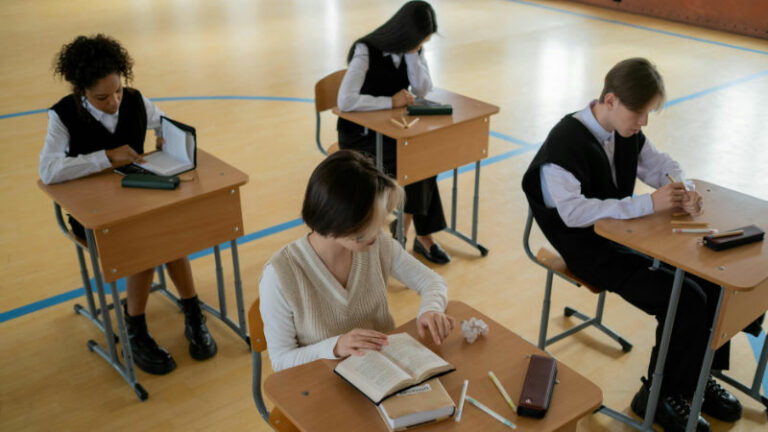 Understanding the EOI Ranking System for Skilled Visas